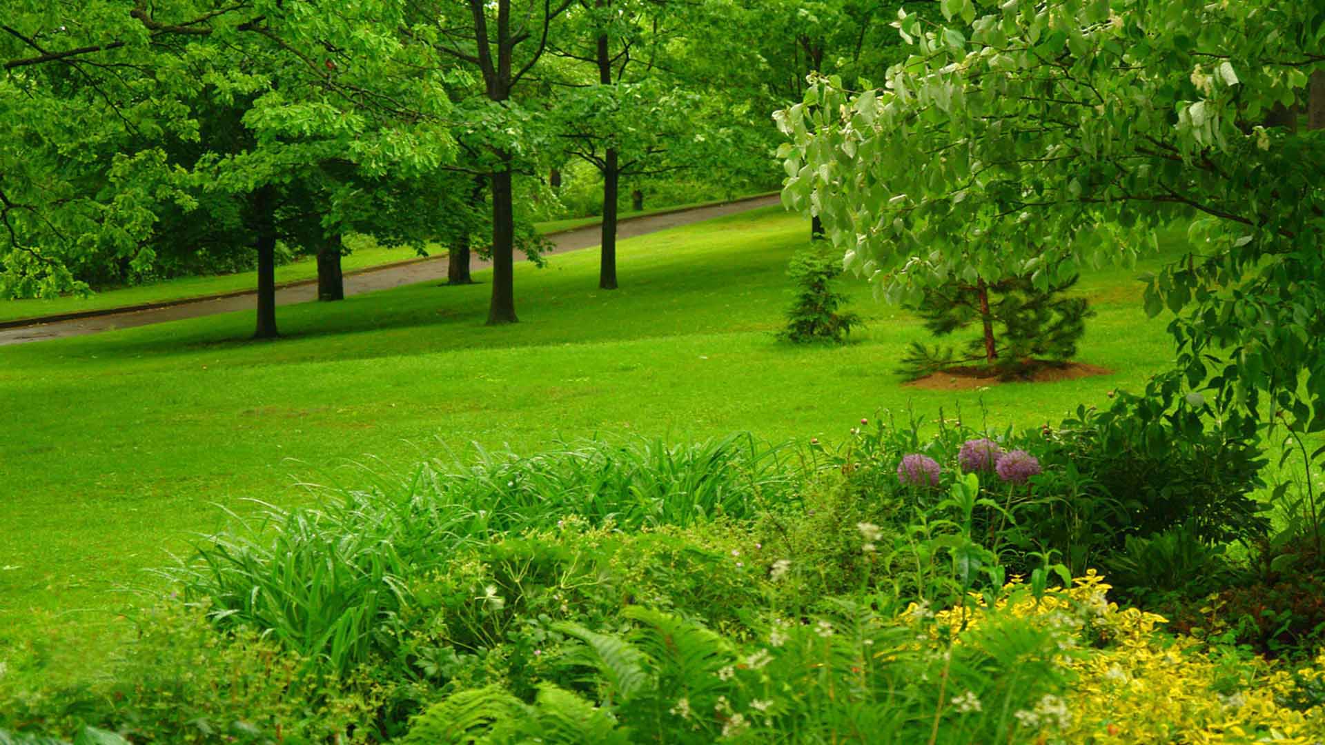 Spring Garden Desktop Wallpapers - Top Free Spring Garden Desktop ...