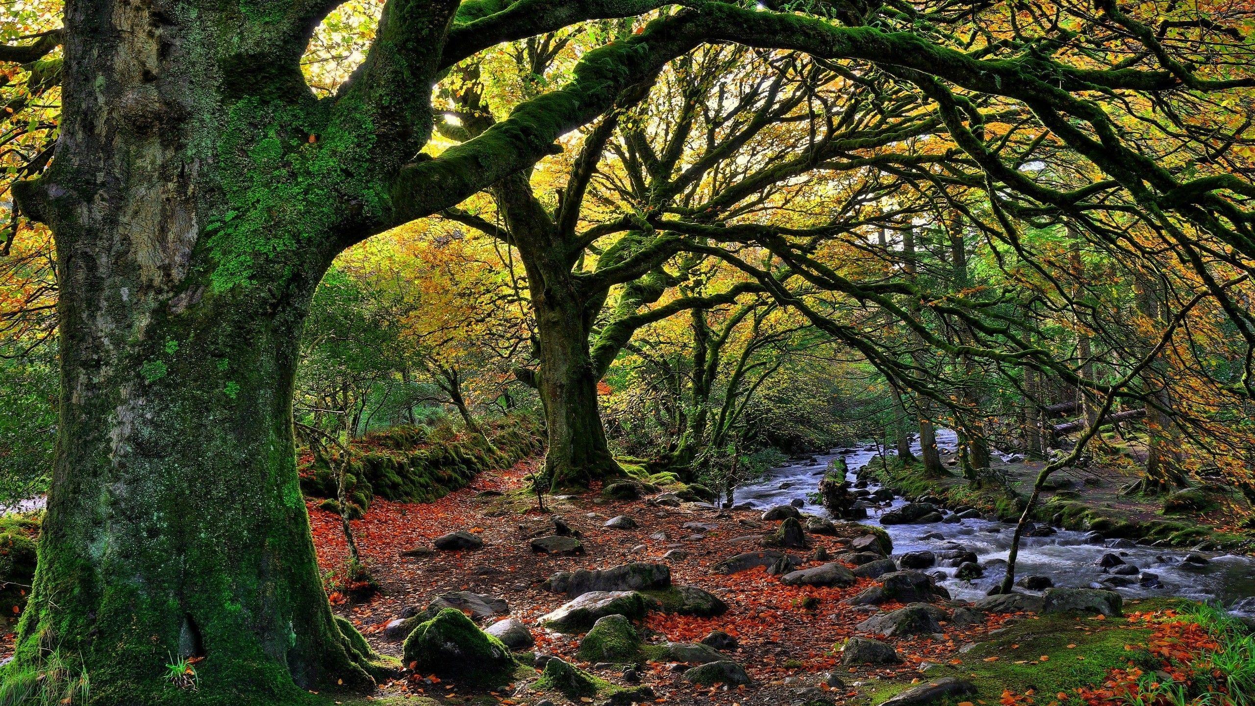 Ireland Autumn Desktop Wallpapers - Top Free Ireland Autumn Desktop ...