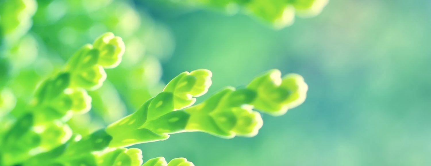 Health HD Wallpapers - Top Free Health HD Backgrounds - WallpaperAccess