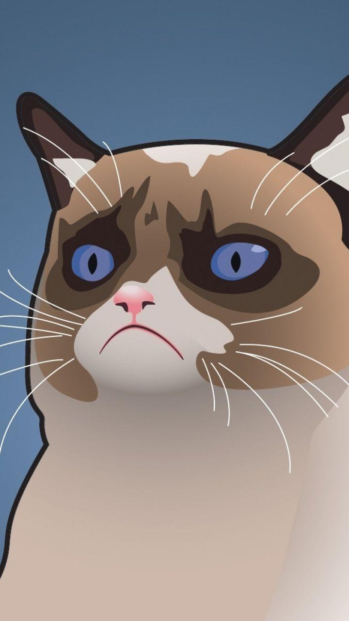 Grumpy Cat iPhone Wallpapers - Top Free Grumpy Cat iPhone Backgrounds ...