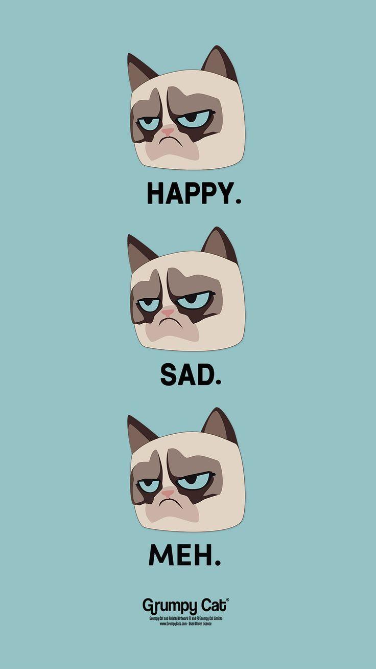 Nope Grumpy Cat Wallpapers - Top Free Nope Grumpy Cat Backgrounds - WallpaperAccess