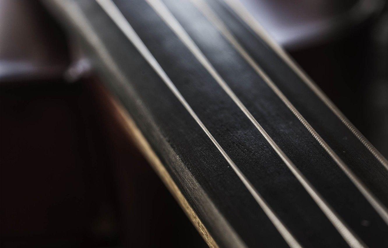 String Instruments Wallpapers - Top Free String Instruments Backgrounds ...