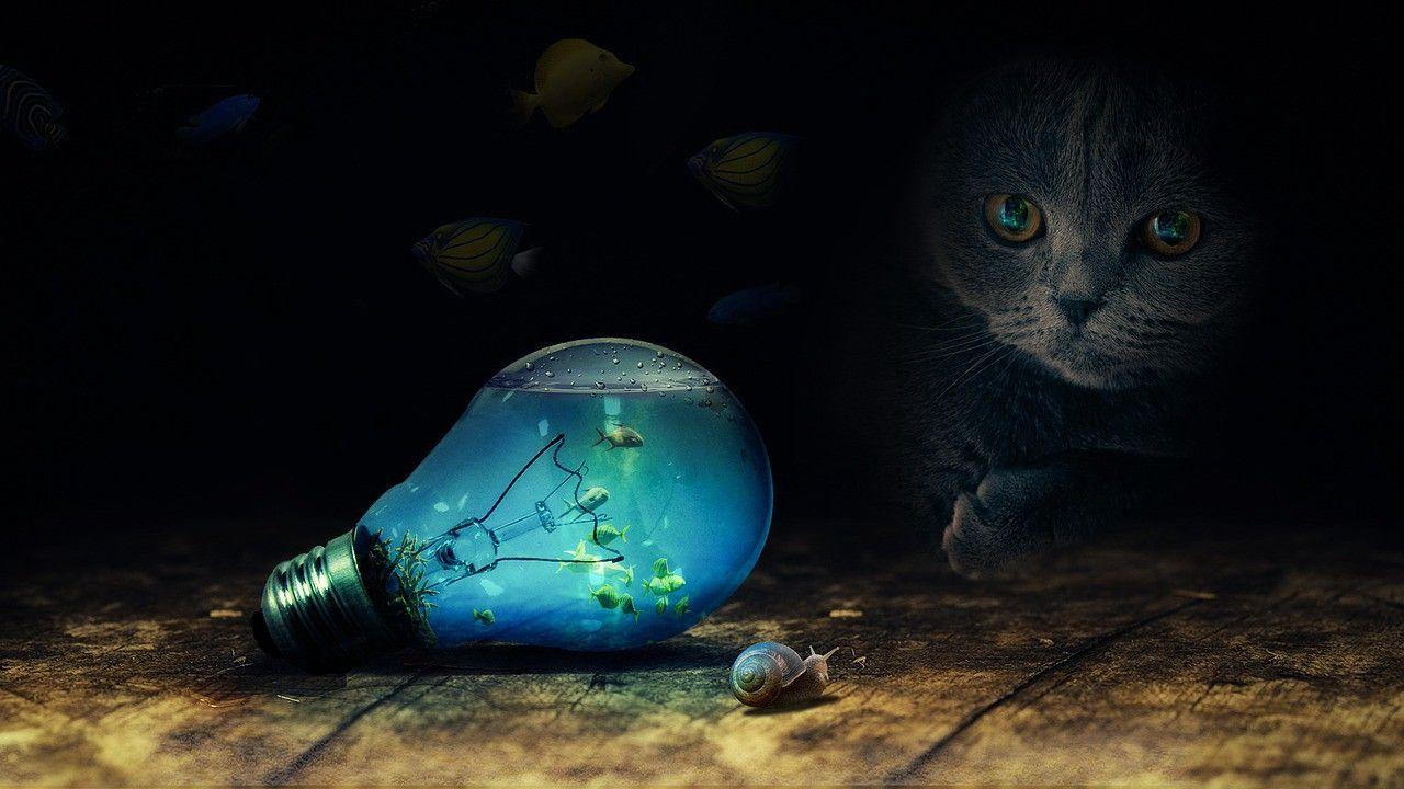 Light vs Dark Wallpapers - Top Free Light vs Dark Backgrounds ...