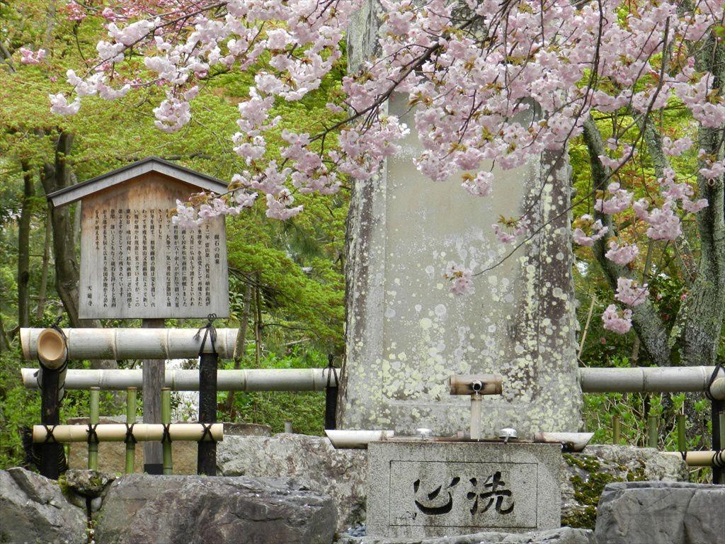 Zen Cherry Blossom Wallpapers - Top Free Zen Cherry Blossom Backgrounds ...