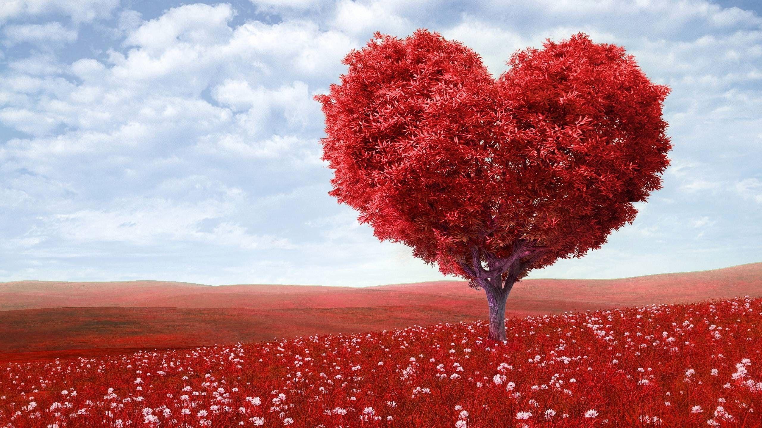 Cool Red Heart Wallpapers - Top Free Cool Red Heart Backgrounds ...