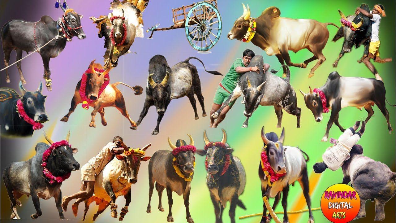 Kaalai Wallpapers - Top Free Kaalai Backgrounds - WallpaperAccess