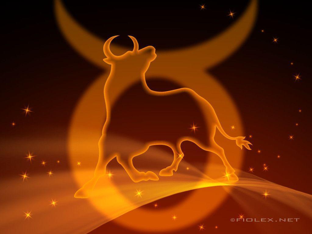 Taurus Zodiac Wallpapers - Top Free Taurus Zodiac Backgrounds ...