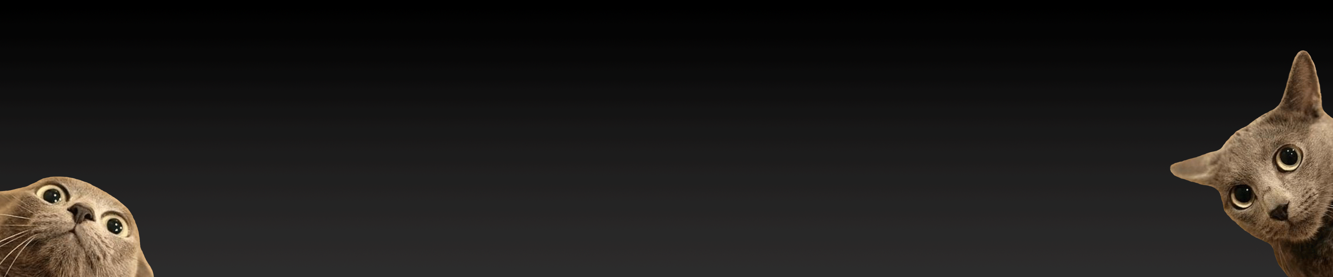 Dual Monitor Cat Wallpapers - Top Free Dual Monitor Cat Backgrounds ...