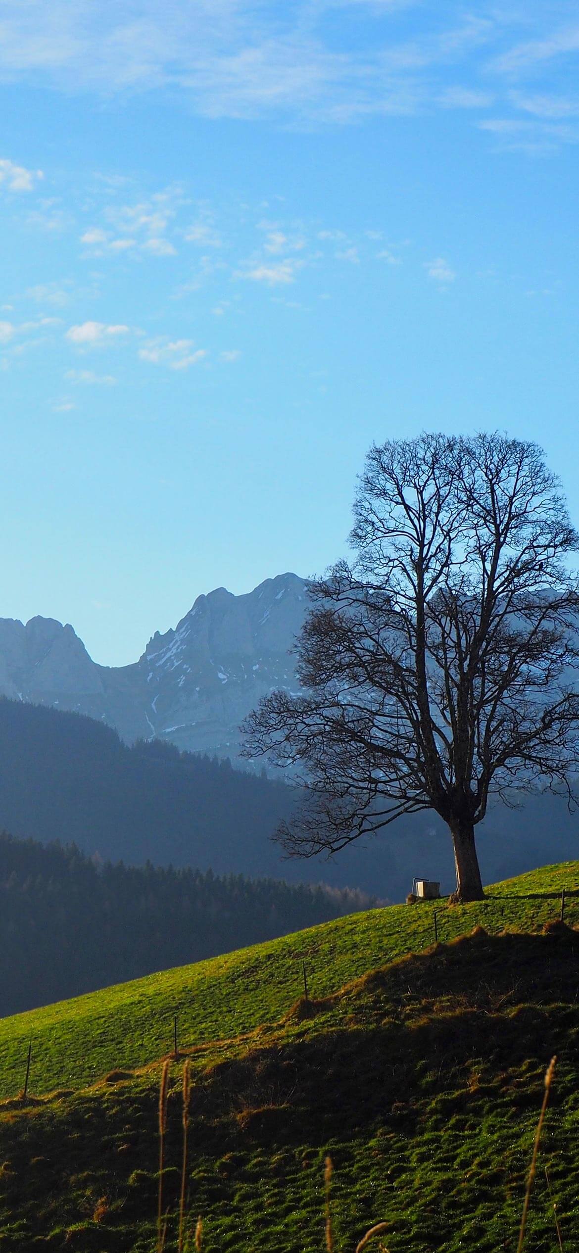 Cool Calm Wallpapers - Top Free Cool Calm Backgrounds - WallpaperAccess