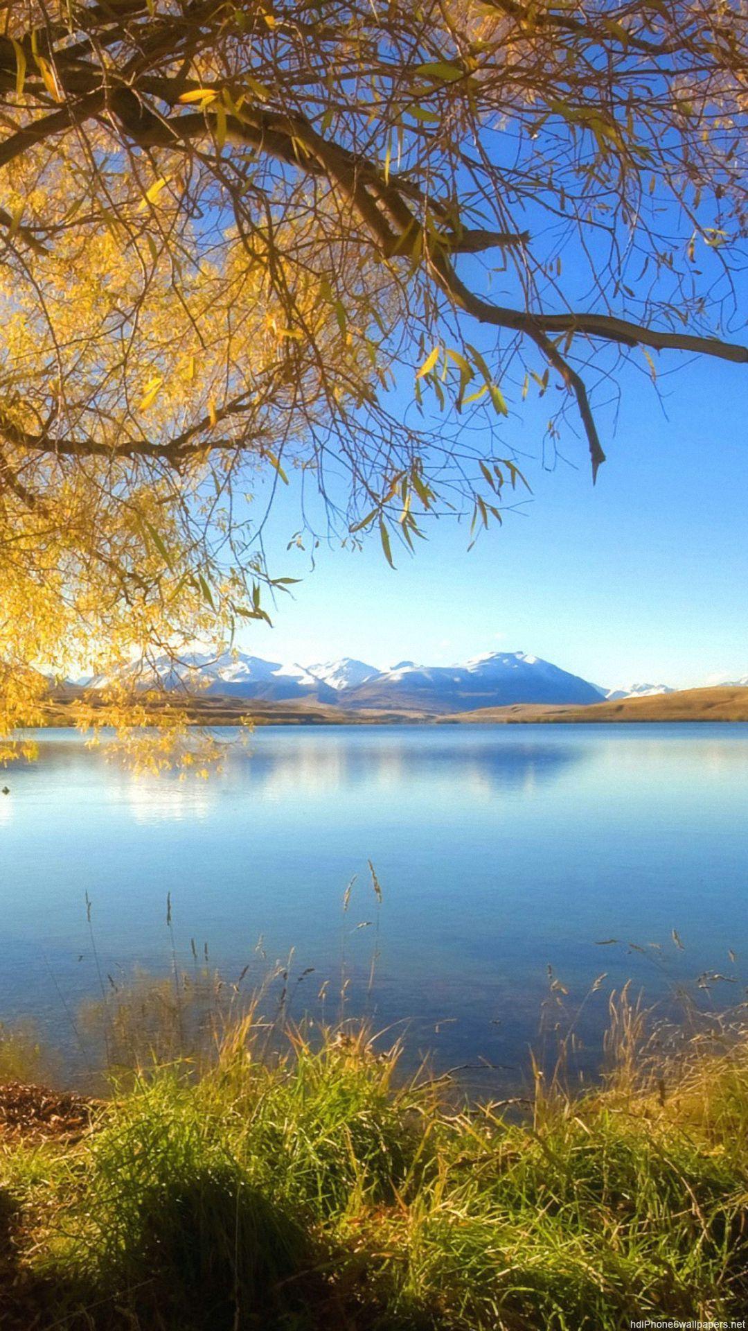 iPhone 5 Wallpapers - Top Free iPhone 5 Backgrounds - WallpaperAccess