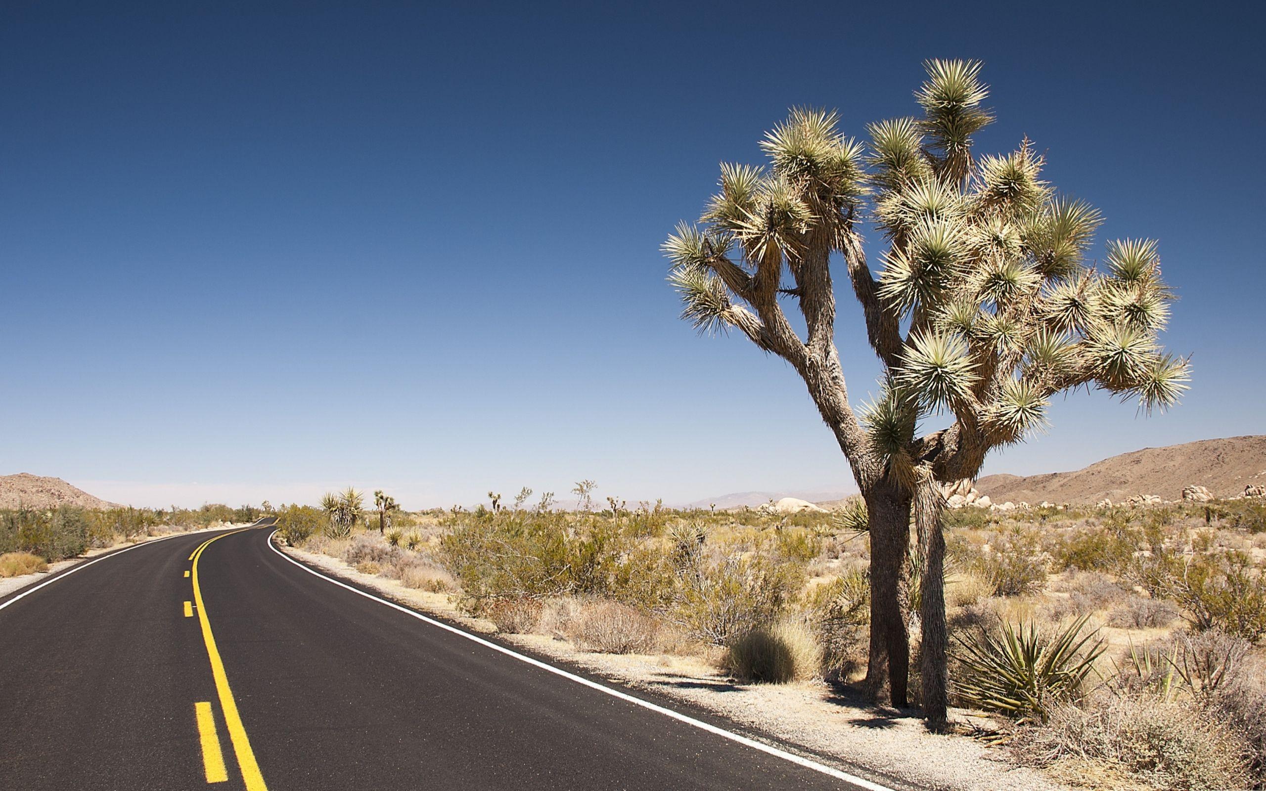 Desert Road HD Wallpapers - Top Free Desert Road HD Backgrounds ...
