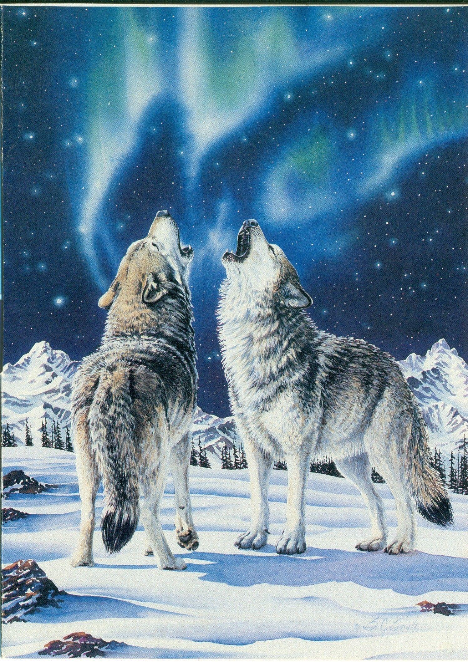 Aurora Borealis and Wolf Wallpapers - Top Free Aurora Borealis and Wolf ...