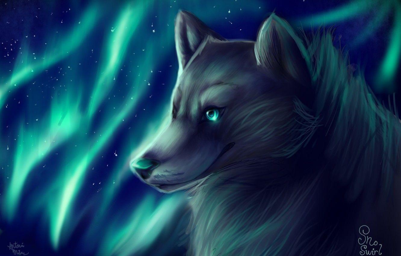 Aurora Borealis and Wolf Wallpapers - Top Free Aurora Borealis and Wolf ...