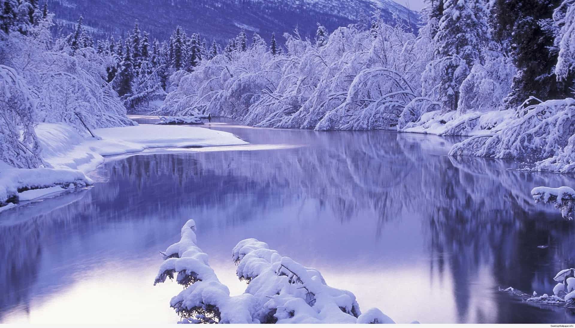 Pokemon Winter Wallpapers - Top Free Pokemon Winter Backgrounds ...