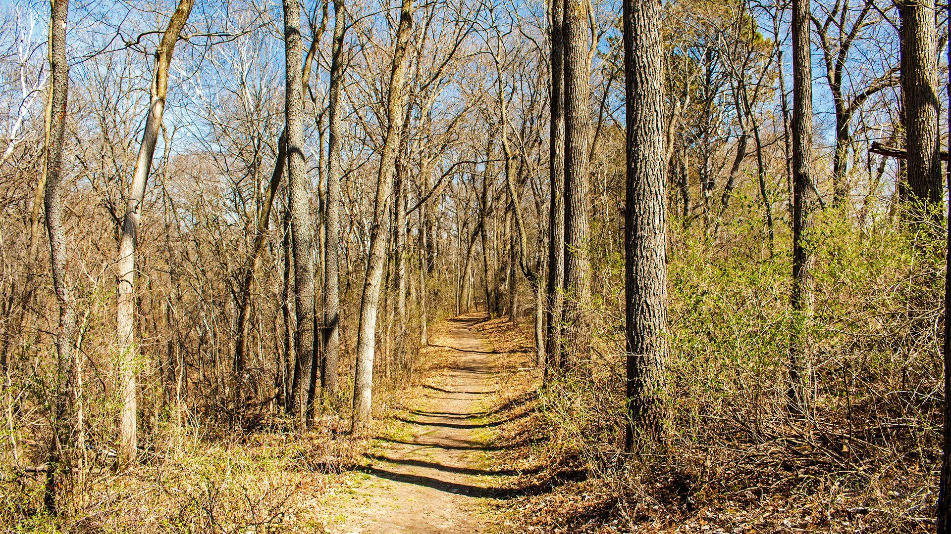 Minnesota Forest Wallpapers - Top Free Minnesota Forest Backgrounds ...
