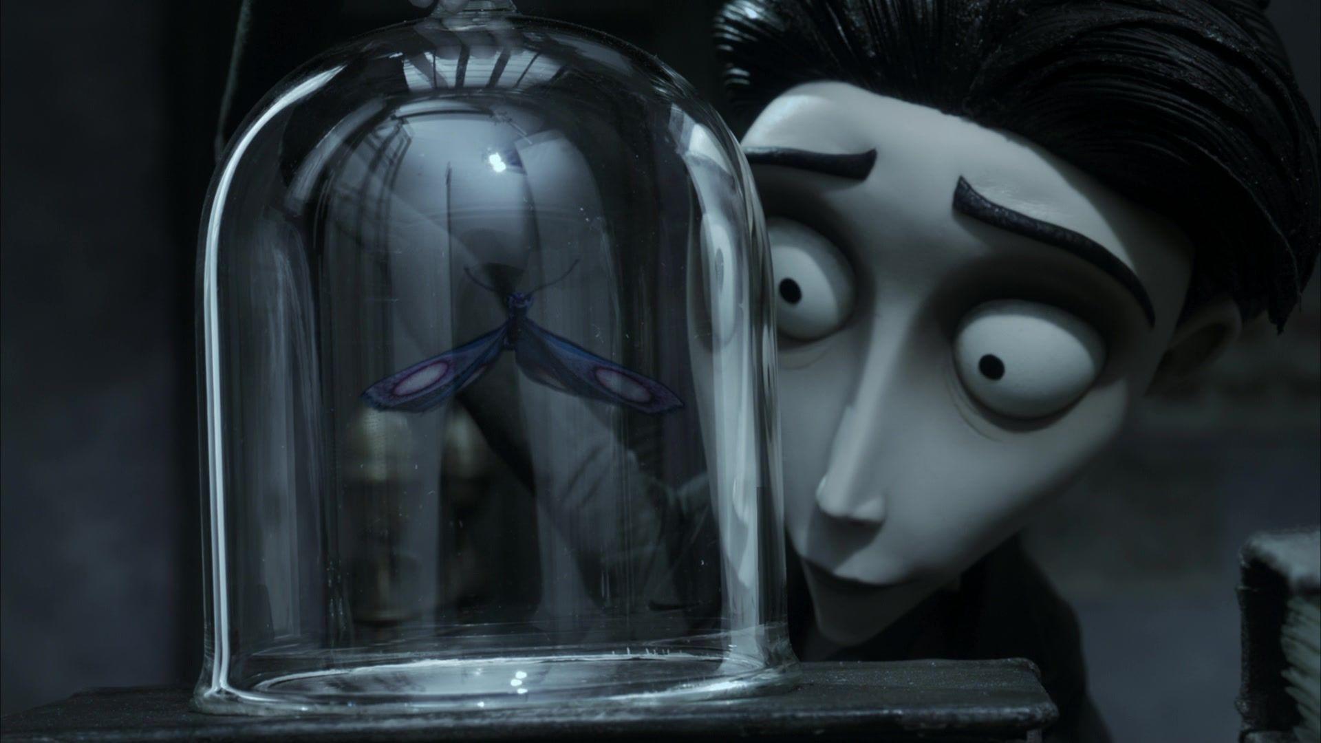 Corpse Bride HD Wallpapers - Top Free Corpse Bride HD Backgrounds ...