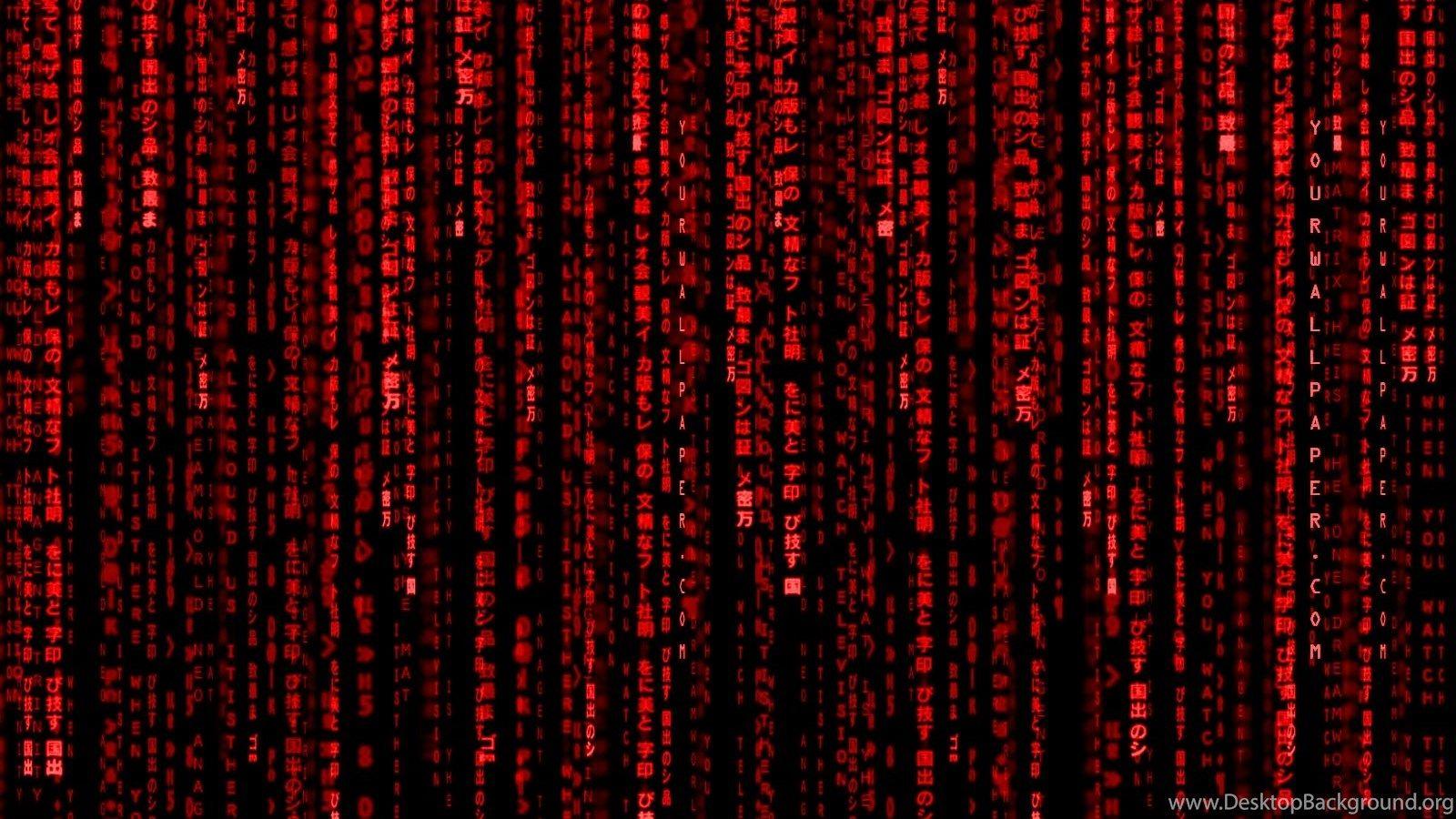 The Matrix 4K Wallpapers - Top Free The Matrix 4K Backgrounds ...