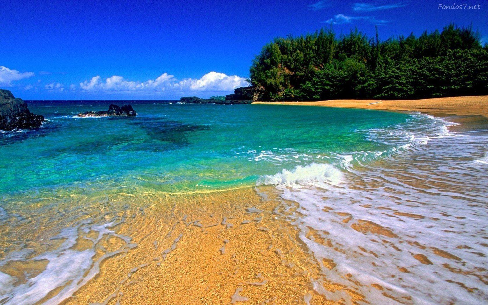 Cool Hawaii Wallpapers - Top Free Cool Hawaii Backgrounds - WallpaperAccess