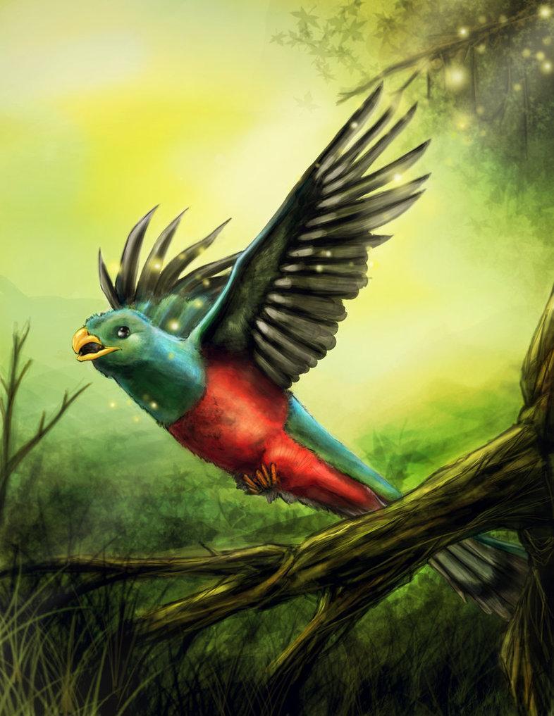 Quetzal Wallpapers - Top Free Quetzal Backgrounds - WallpaperAccess