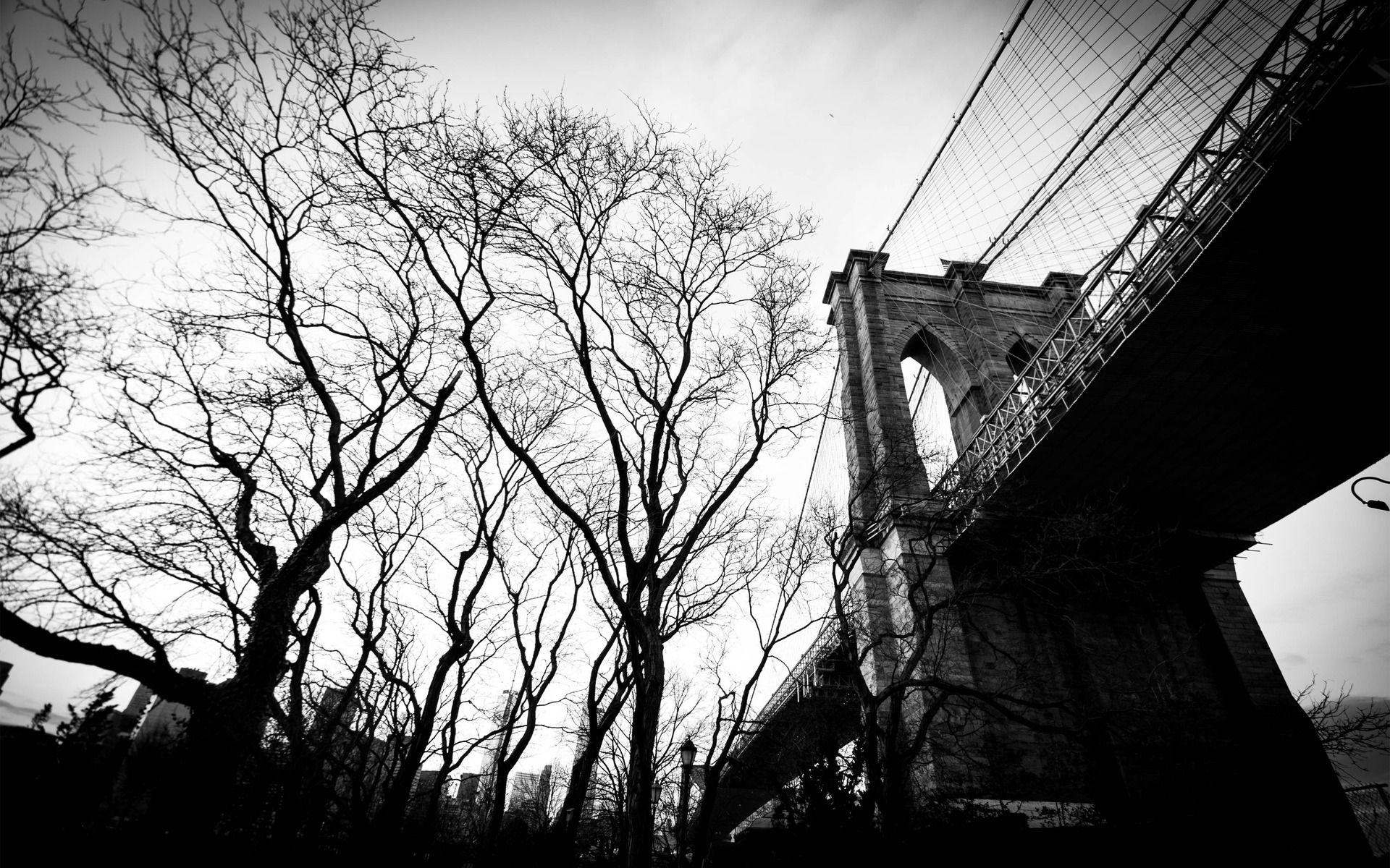 Name Brooklyn Wallpapers - Top Free Name Brooklyn Backgrounds ...