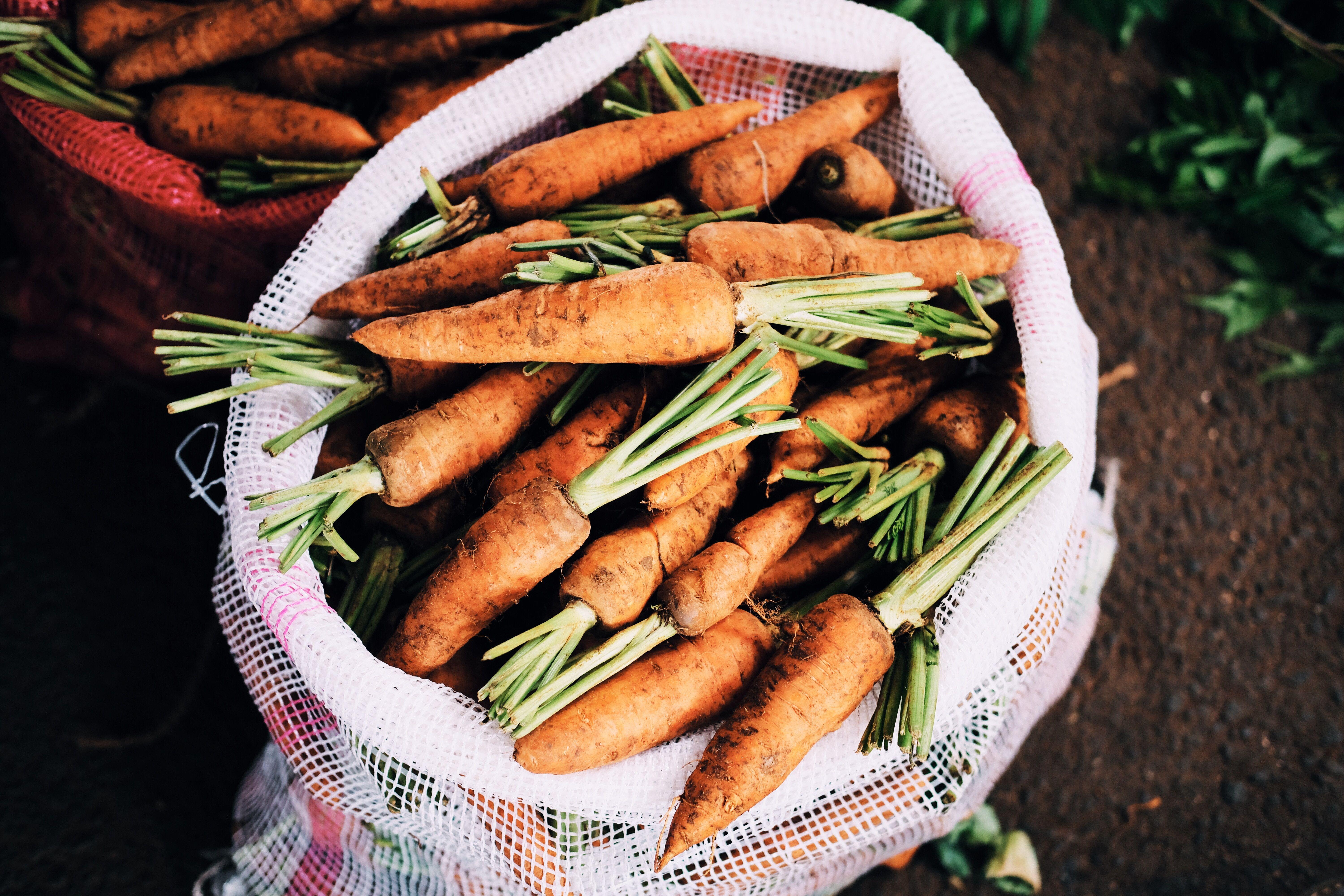 Carrot Farm Wallpapers - Top Free Carrot Farm Backgrounds - WallpaperAccess