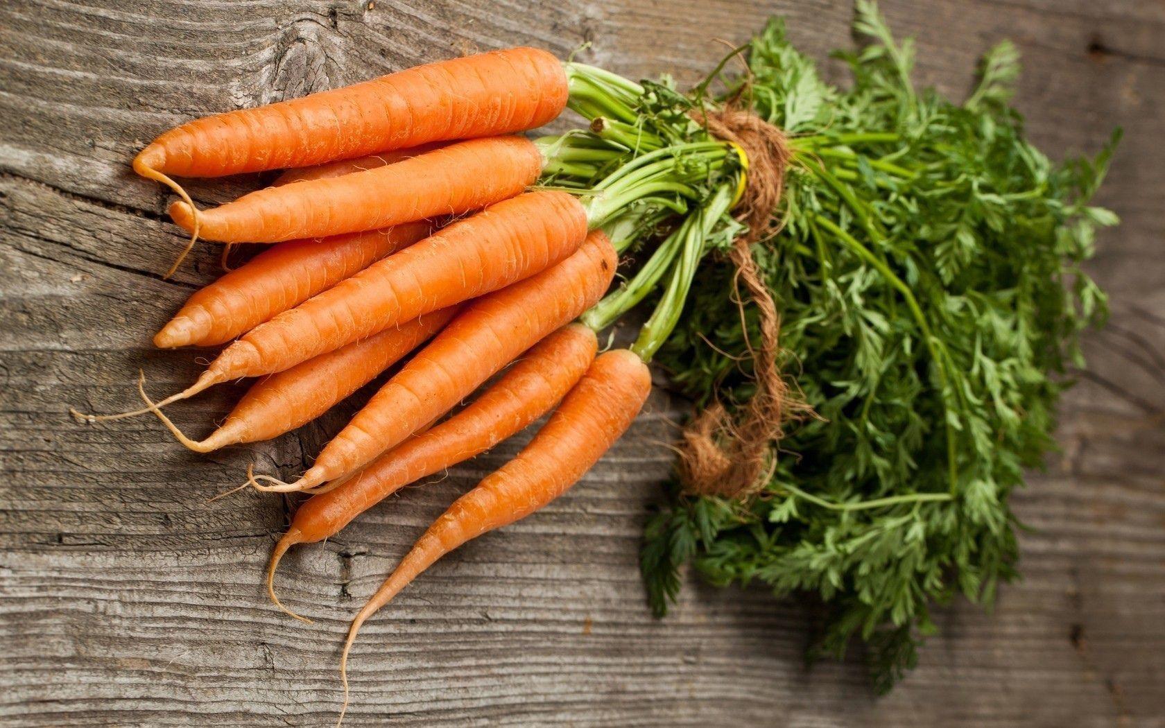Carrot Farm Wallpapers - Top Free Carrot Farm Backgrounds - WallpaperAccess