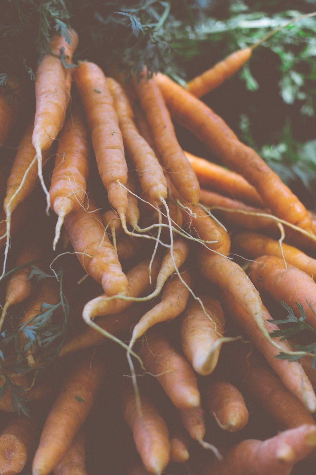 Carrot Farm Wallpapers - Top Free Carrot Farm Backgrounds - WallpaperAccess