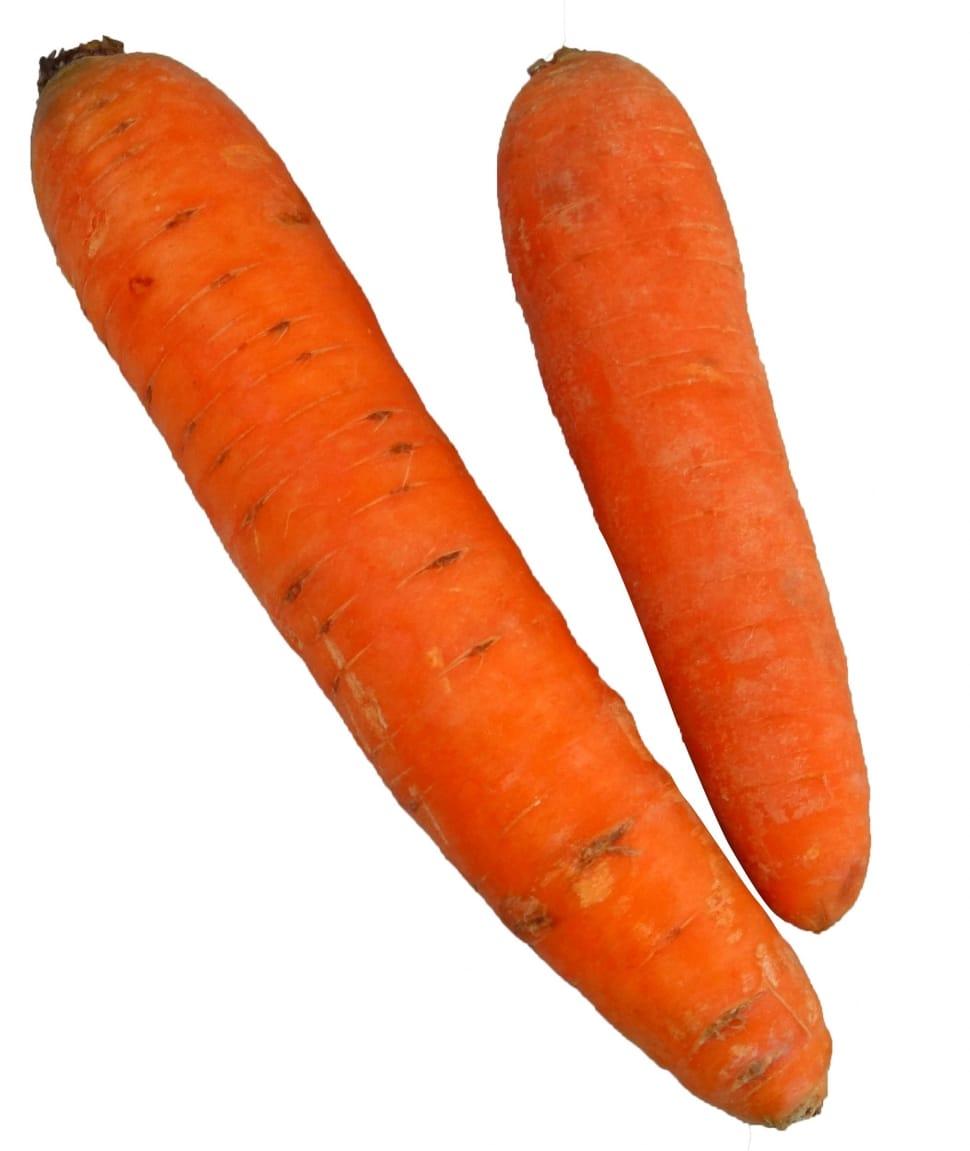 Carrot Farm Wallpapers - Top Free Carrot Farm Backgrounds - WallpaperAccess