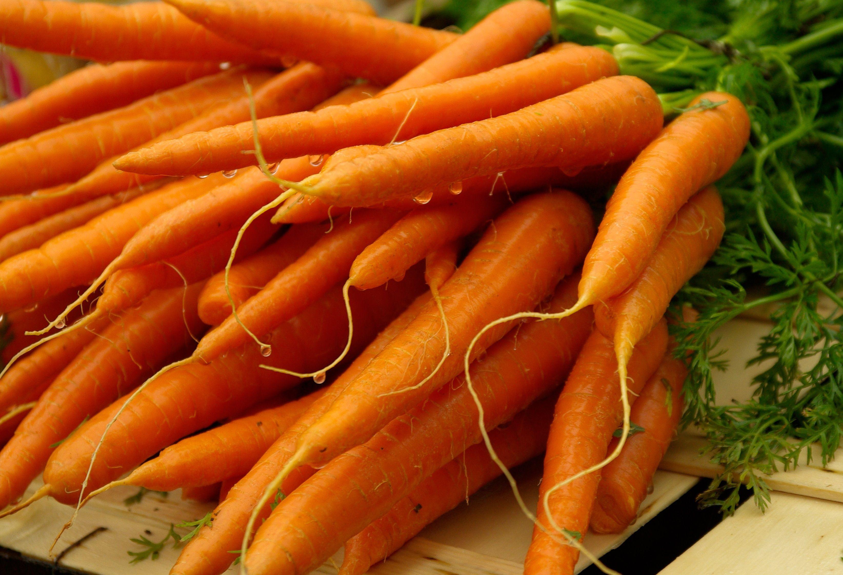 Carrot Farm Wallpapers - Top Free Carrot Farm Backgrounds - WallpaperAccess