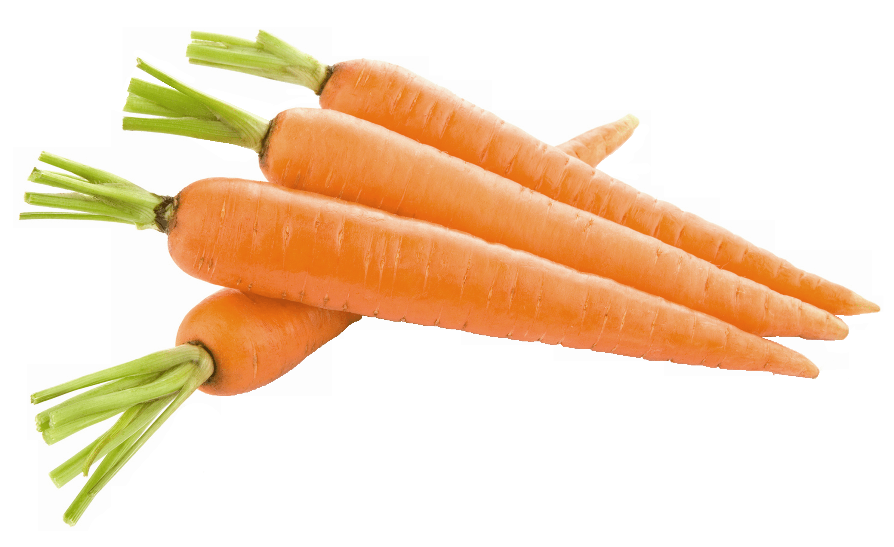 Carrot Farm Wallpapers - Top Free Carrot Farm Backgrounds - WallpaperAccess