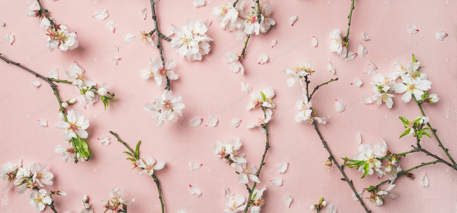 Light Pink Floral Wallpapers - Top Free Light Pink Floral Backgrounds ...
