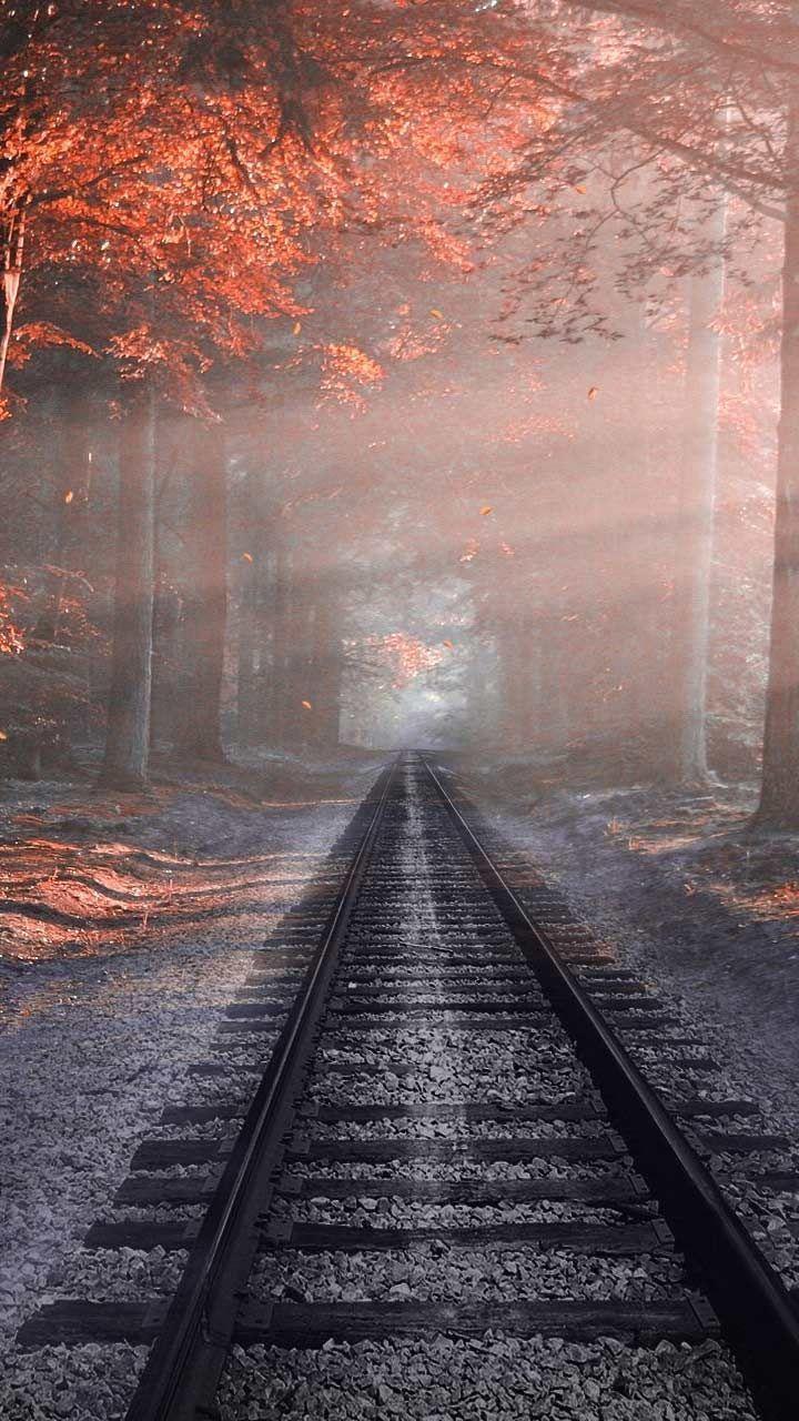 Cozy Nature Wallpapers - Top Free Cozy Nature Backgrounds - WallpaperAccess