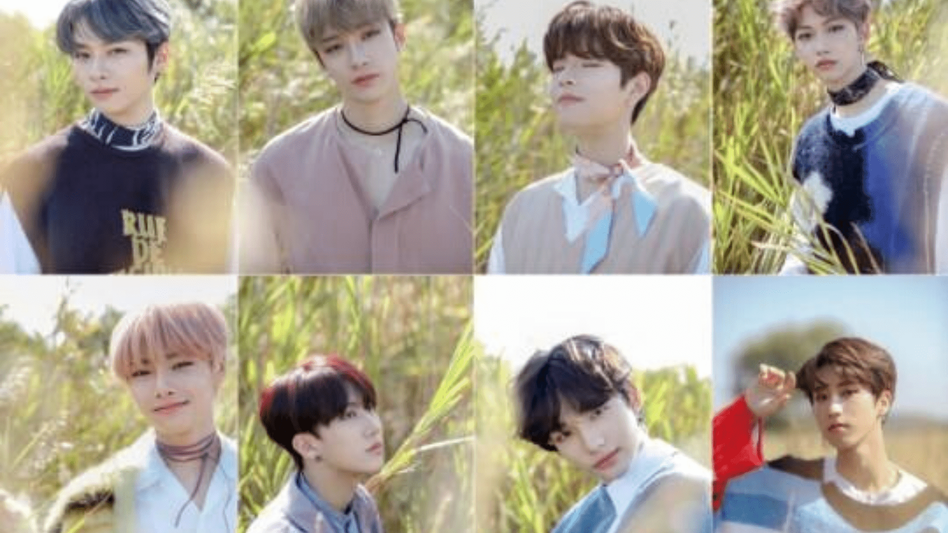 Stray Kids Levanter Wallpapers - Top Free Stray Kids Levanter ...