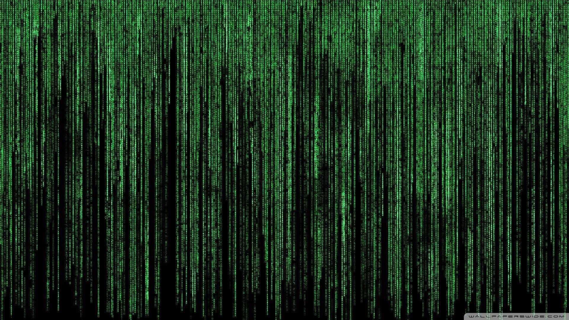 Green Matrix Wallpapers - Top Free Green Matrix Backgrounds ...