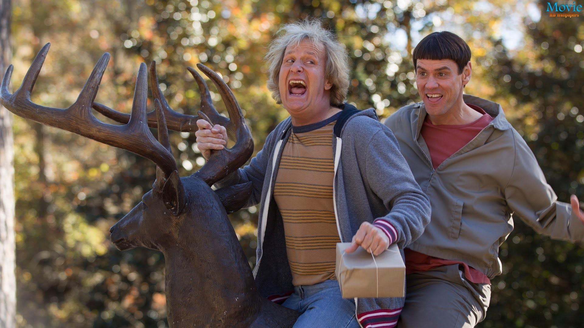 Dumb and Dumber HD Wallpapers - Top Free Dumb and Dumber HD Backgrounds ...
