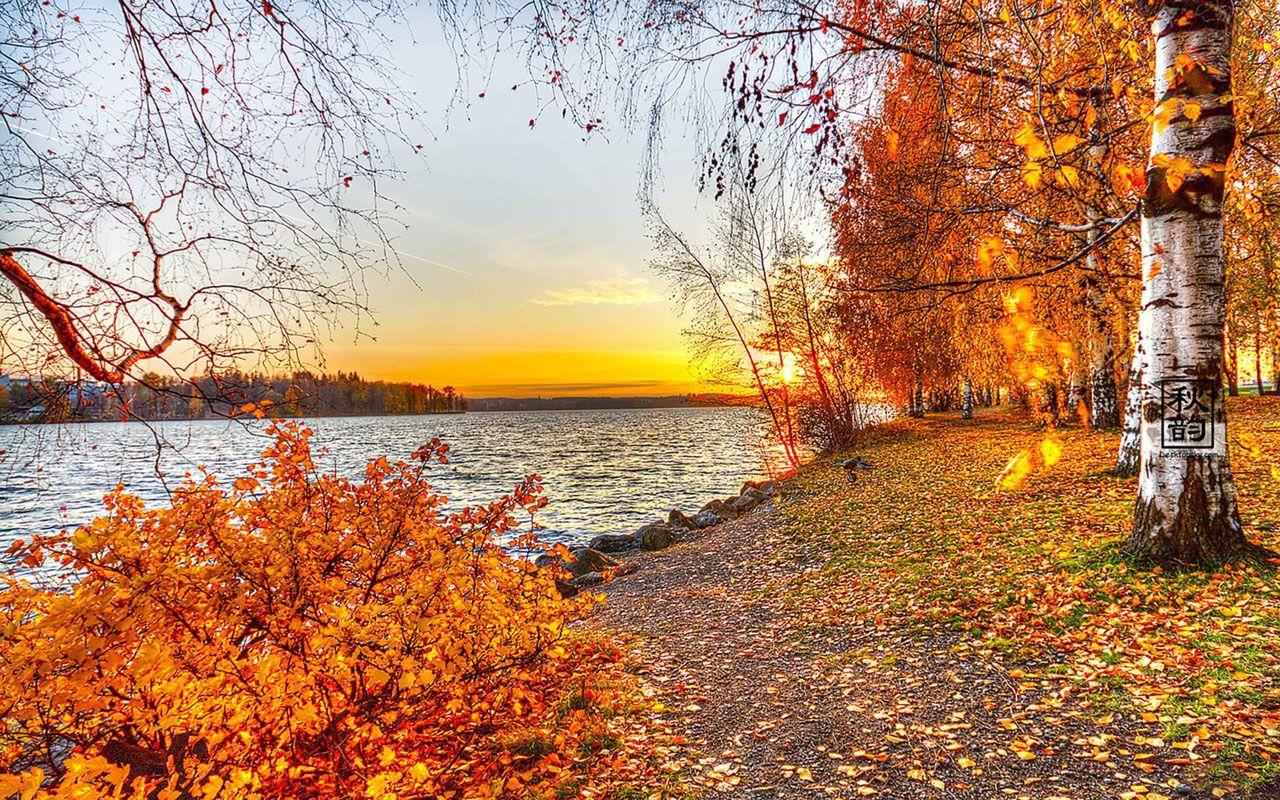 Windows XP Autumn Wallpapers - Top Free Windows XP Autumn Backgrounds ...