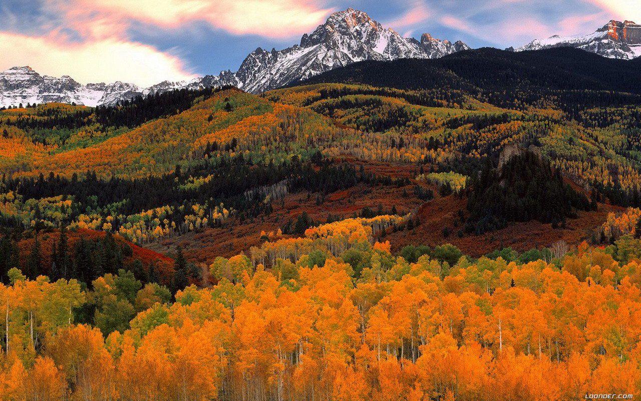 Windows XP Autumn Wallpapers - Top Free Windows XP Autumn Backgrounds ...