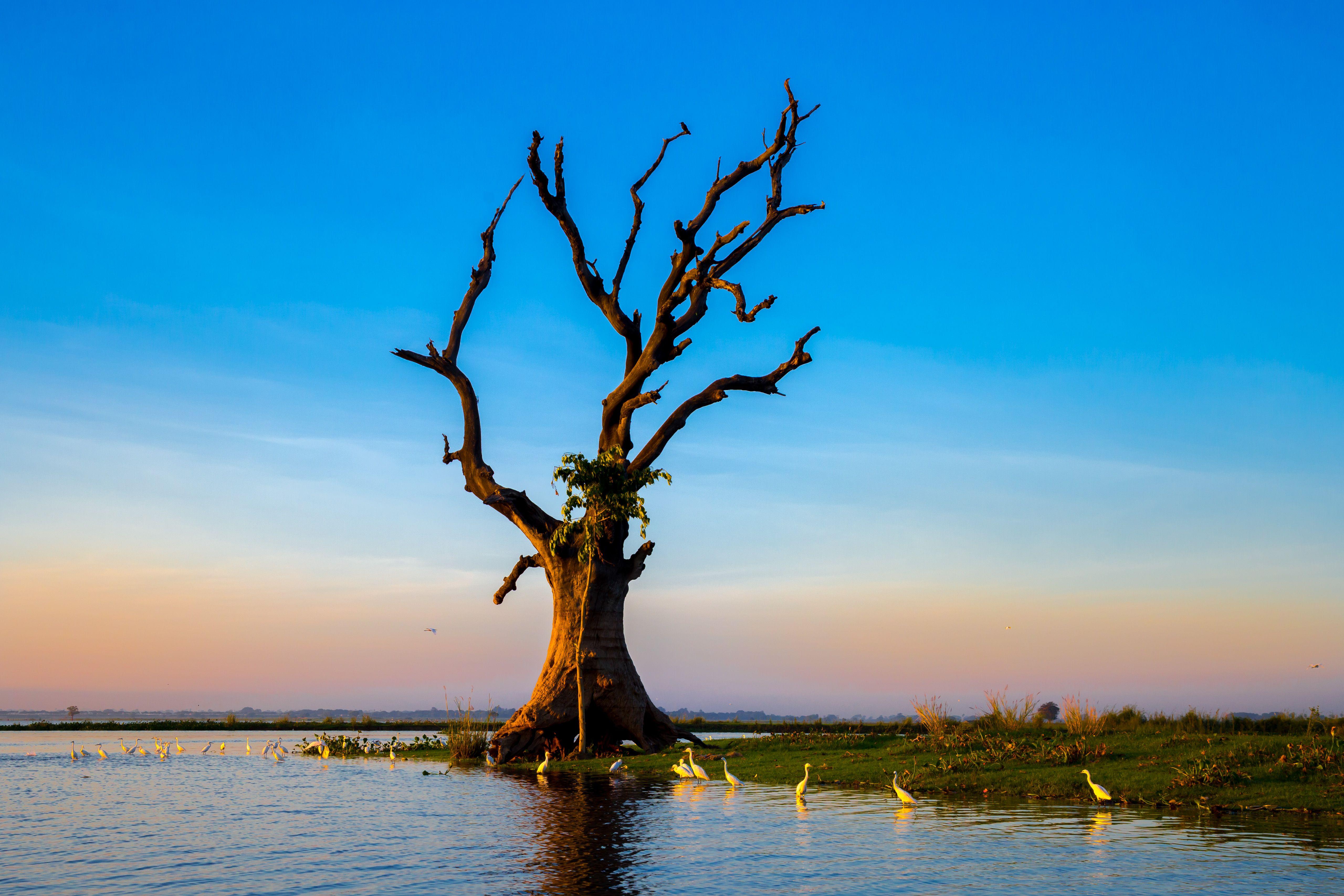 iMac 8K Wallpapers - Top Free iMac 8K Backgrounds - WallpaperAccess