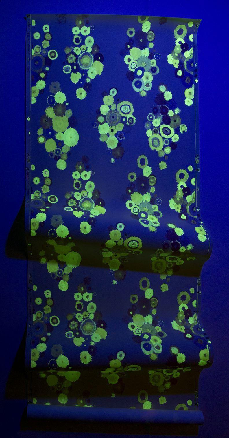 Reactive Wallpapers - Top Free Reactive Backgrounds - WallpaperAccess