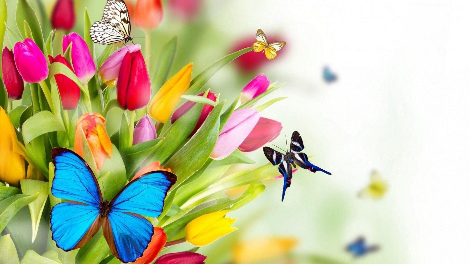 1920X1080 Beautiful Spring Flower Wallpapers - Top Free 1920X1080 ...
