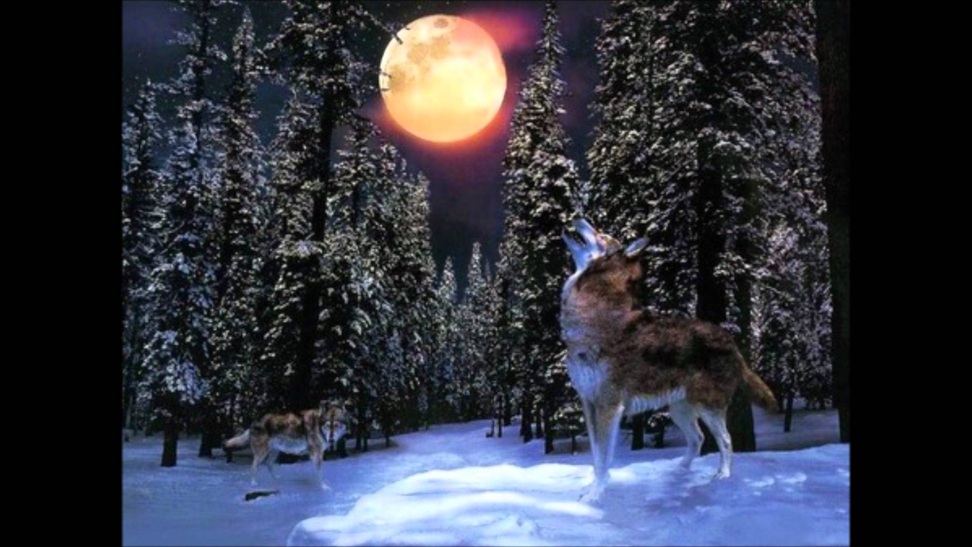 Native American Winter Wallpapers - Top Free Native American Winter ...