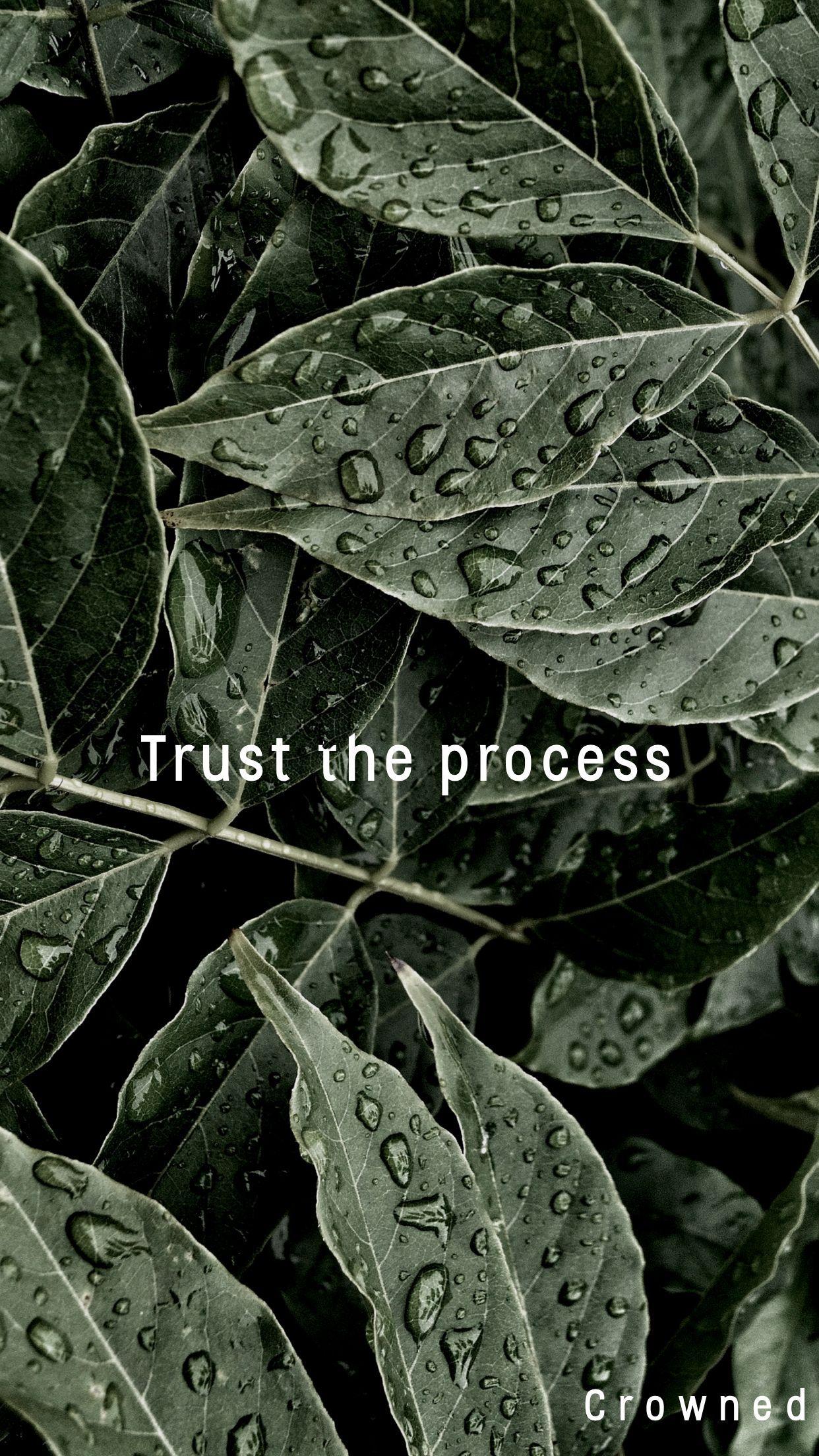 Trust The Process Wallpapers - Top Free Trust The Process Backgrounds ...
