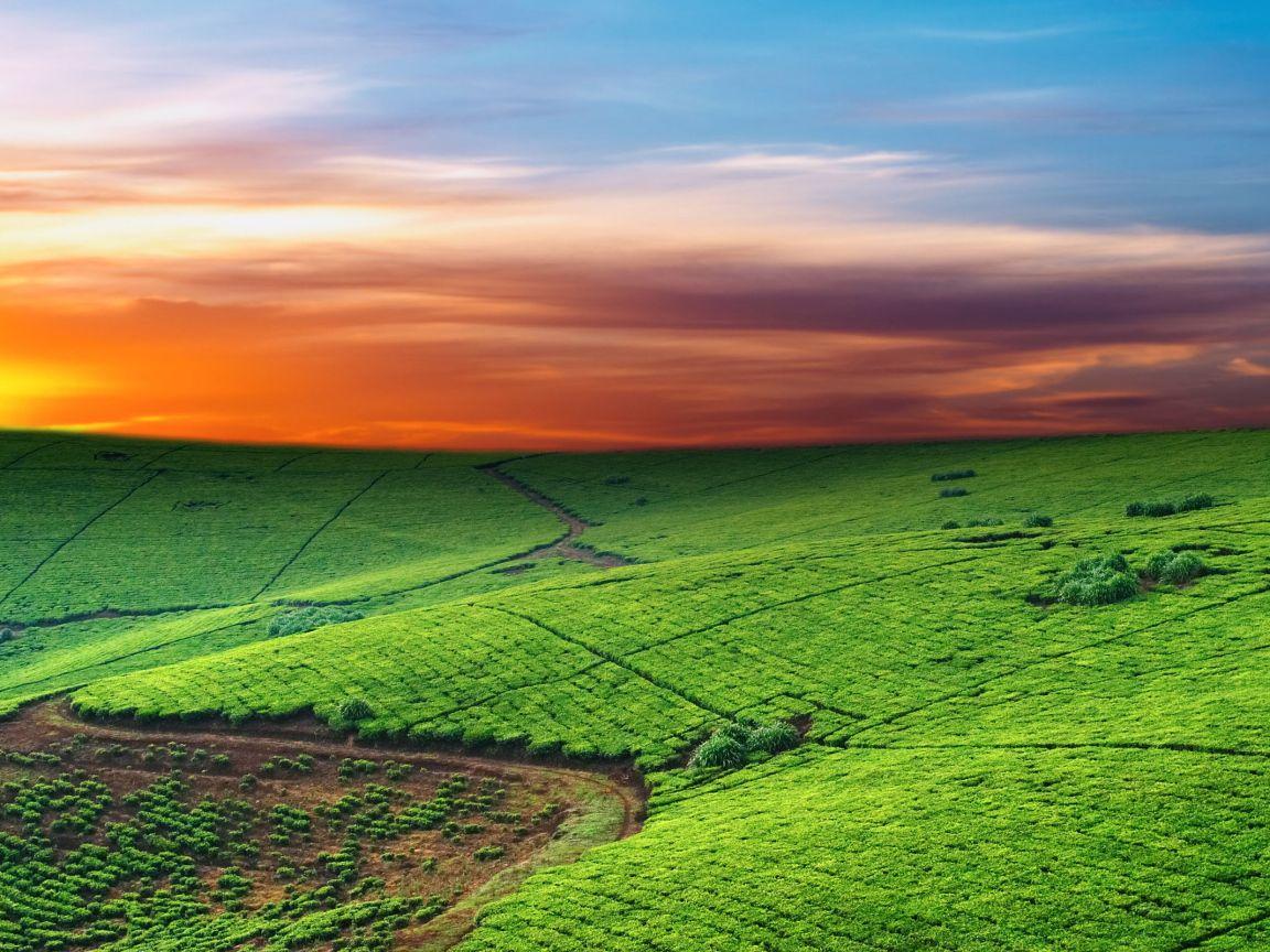 Green Pastures Wallpapers - Top Free Green Pastures Backgrounds ...