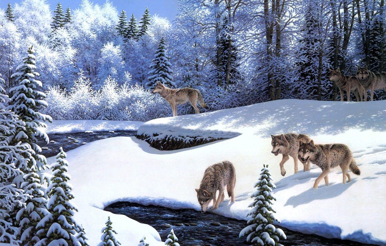 Fairies and Wolves Wallpapers - Top Free Fairies and Wolves Backgrounds ...