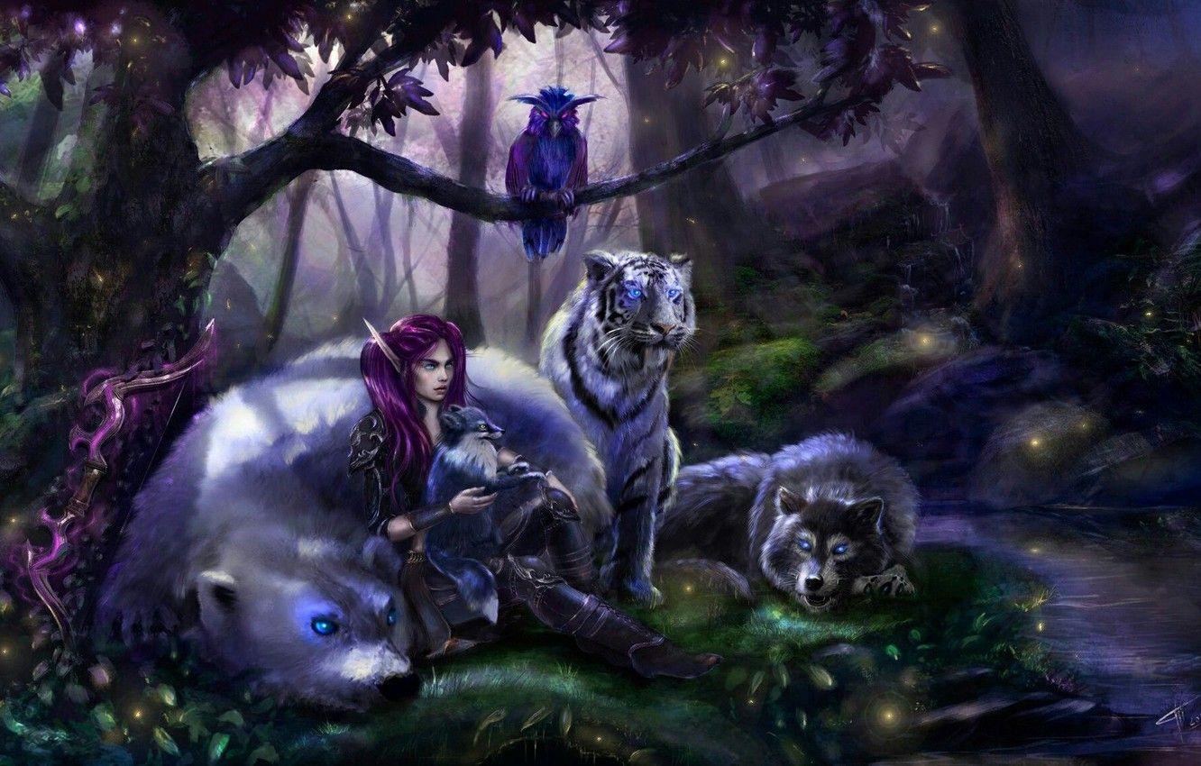 Fairies and Wolves Wallpapers - Top Free Fairies and Wolves Backgrounds ...