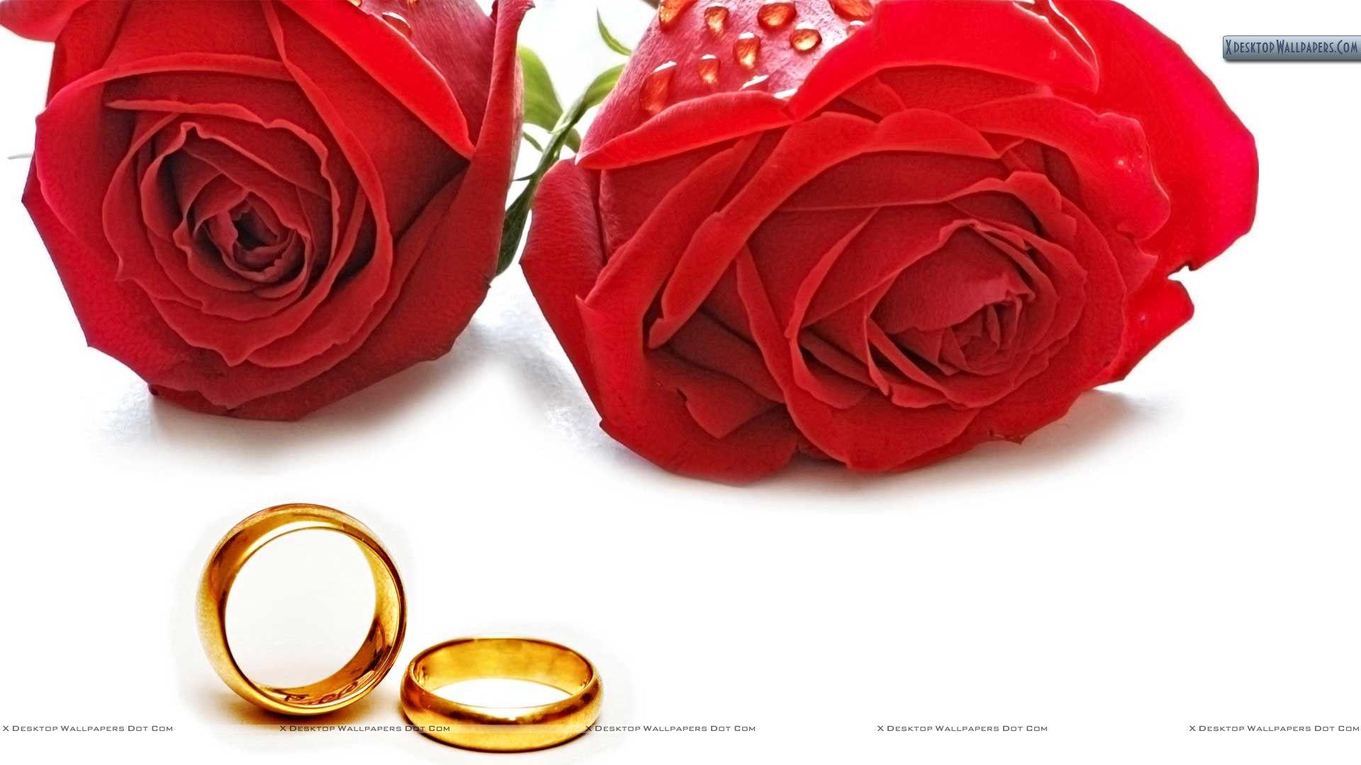 Red Ring Wallpapers - Top Free Red Ring Backgrounds - WallpaperAccess