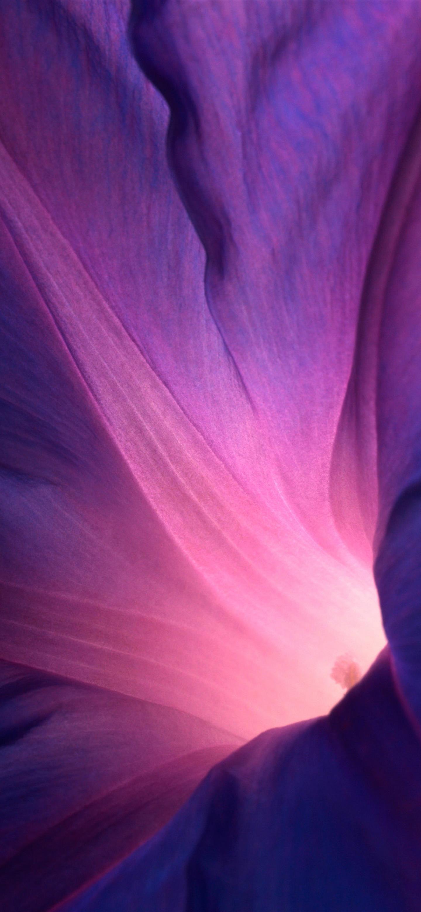 Abstract Purple Flower Phone Wallpapers - Top Free Abstract Purple ...