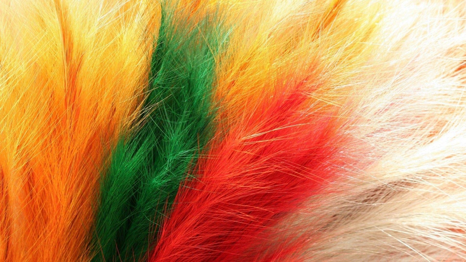 Colorful Feather Wallpapers - Top Free Colorful Feather Backgrounds ...