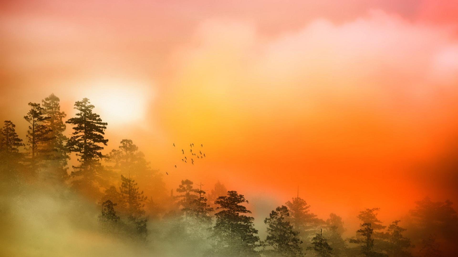 Natural Disasters Wallpapers - Top Free Natural Disasters Backgrounds ...