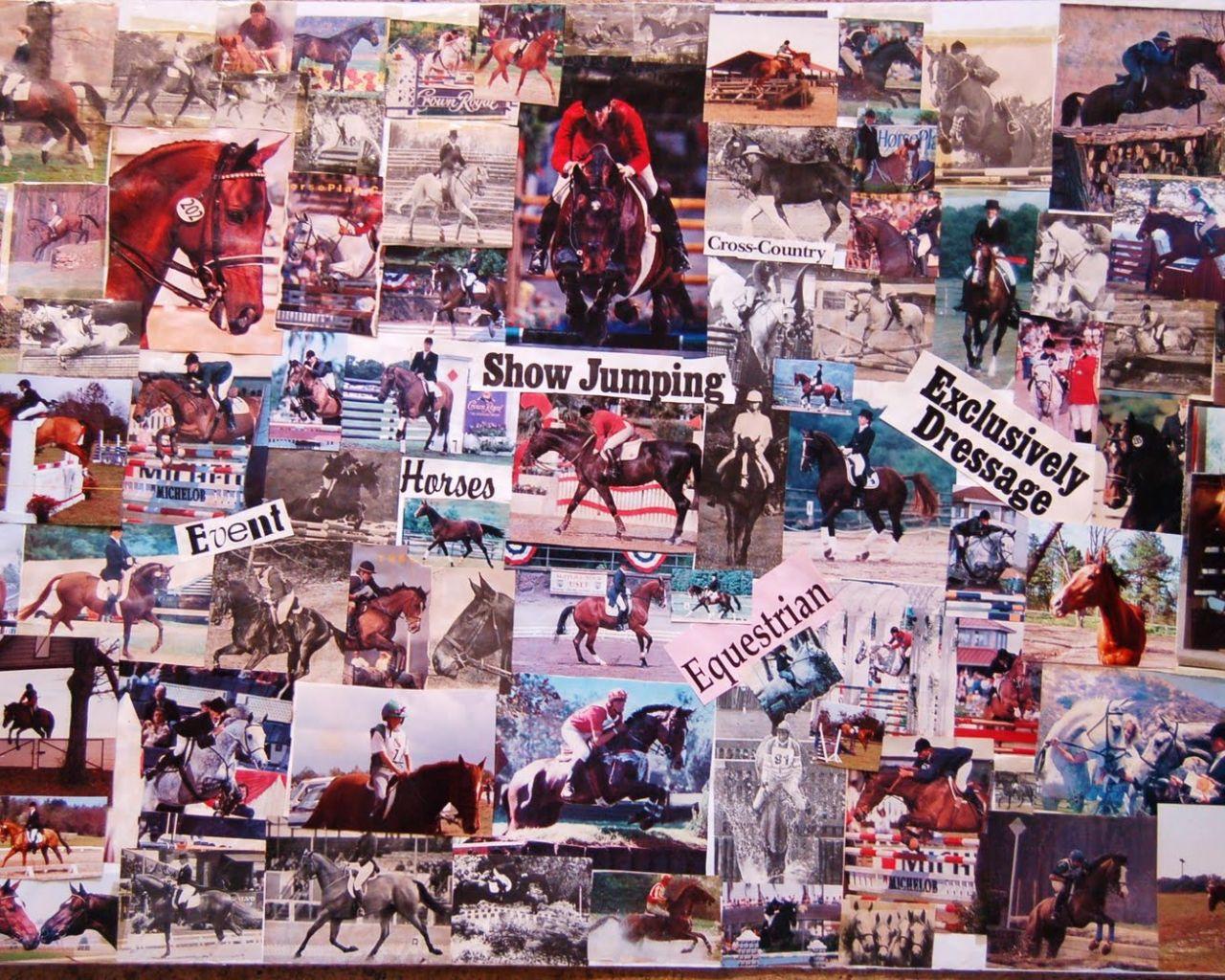 Horse Collage Wallpapers - Top Free Horse Collage Backgrounds ...